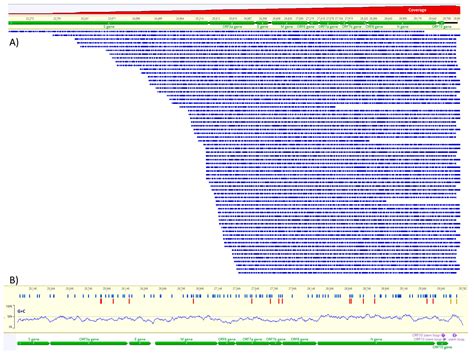 Direct Rna Sequencing Reveals Sars Cov 2 M6a Sites Rna Seq Blog