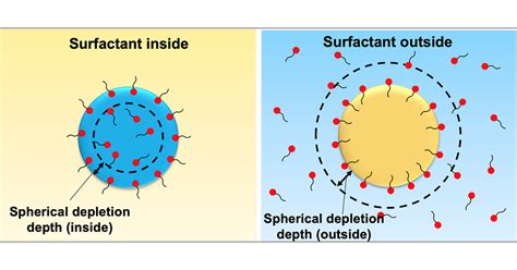 Surfactant Definition And Examples 45 Off