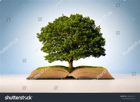 Tree Growing Out Book Over 2 362 Royalty Free Licensable Stock Photos Shutterstock