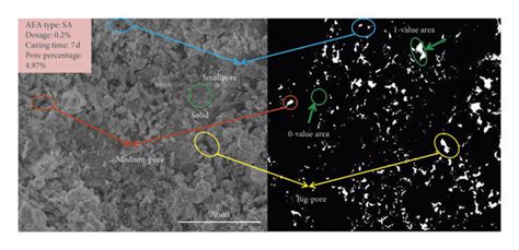 Sem And Its Binarization Image Of Aeacpb Download Scientific Diagram