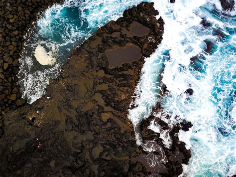 Increase Your Instagram Followers With A Simple Python Bot Towards Data Science