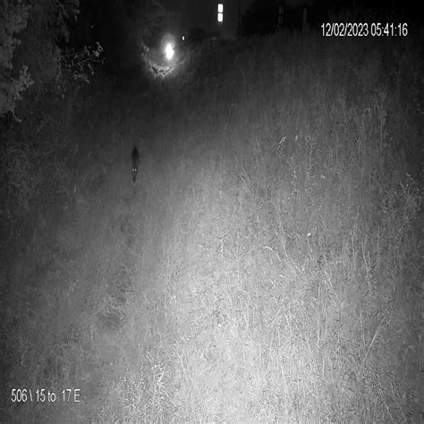 Deepa R Deepa R 4xtda Roboflow Universe