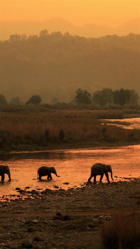 Bing National Geographic Wallpaper