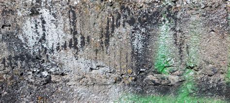 Олеся Сурмак Я так давно ничего не рассказывала Почти пропала у меня есть несколько причин