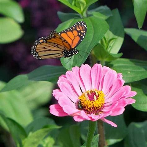 Playing Our Part The Minnesota Lottery