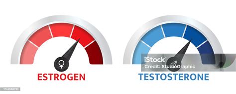 테스토스테론과 에스트로겐 측정기 성 호르몬 수치 측정 척도 성 호르몬의 분자 화학식 남성과 여성의 성 호르몬 벡터 그림