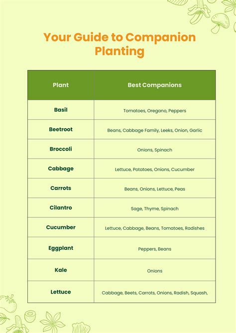 Sunflower Companion Planting Chart Illustrator Pdf