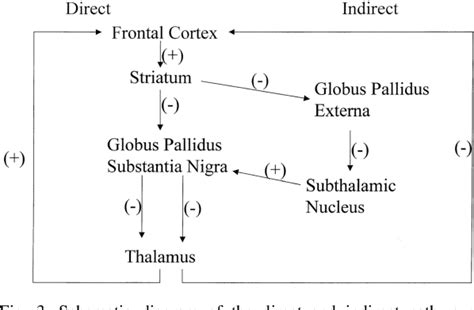 Figure 1 From A Model Of Neurovisceral Integration In Emotion Regulation And Dysregulation