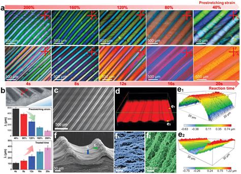 finite element fe simulation of the self wrinkling deformation and