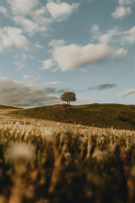 Beyond Automation Driving Profitability And Agility With Agentic Ai And Rpa Epoch Technology