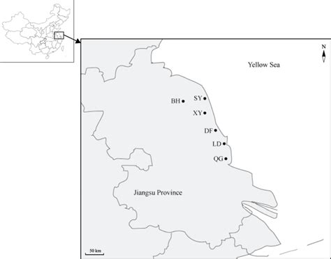 Functional Classification Of Gene Ontology Go For Assembled Unigenes