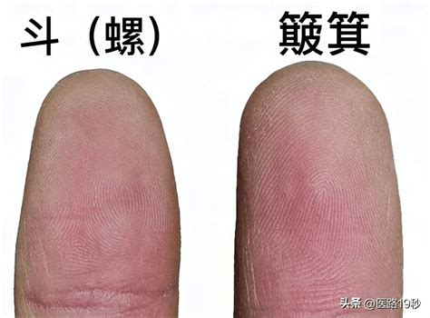 一斗穷二斗富三斗四斗种豆腐古老的指纹谚语背后的真相 命运 斗形 古代