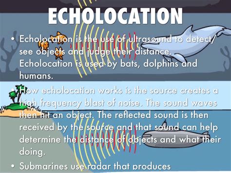 Sound By Blake Imhoff
