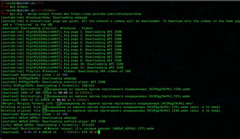 Как выкачать все видео с Youtube Пикабу
