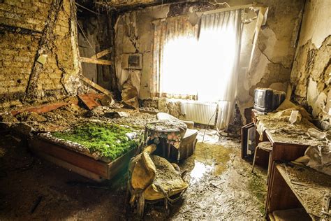 Moss Bed Lost Places Shop