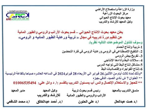 Mahmoud Abdelfattah On Linkedin Dsnkzmyn