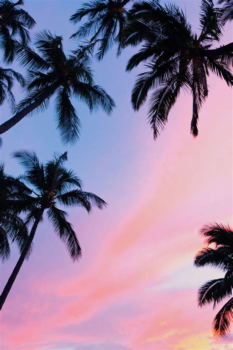 Beach Vibes Iphone Wallpaper Hd Iphone Wallpapers Iphone Wallpapers