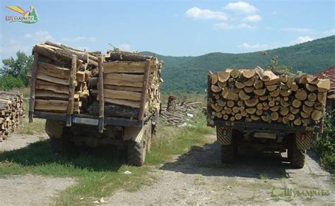 Трговците со огревно дрво пред граѓаните Шумарите