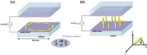 3d View Of Circularly Oriented Axially Symmetric With Circular Download Scientific Diagram