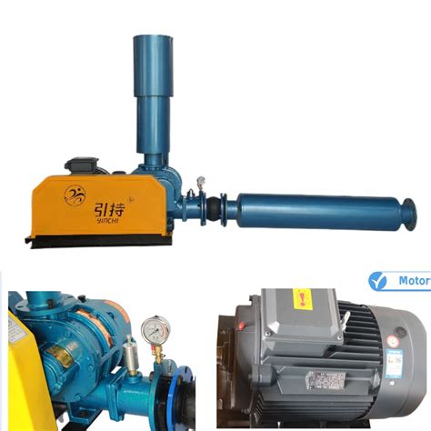 China Water Treatment Three Lobe Roots Blower Supplier Manufacturer