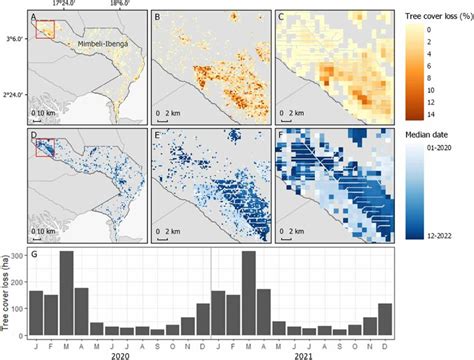 A Tree Cover Loss From Felling And Skidding In In The Download Scientific Diagram