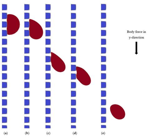 Processes Free Full Text Lattice Boltzmann Modeling Of A Sessile And A Body Force Driven