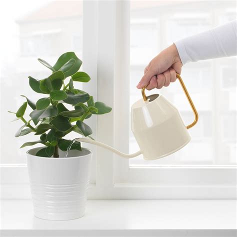 Vattenkrasse Watering Can Ivorygold Colour 09 L Ikea Uk