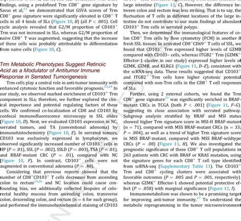 See Previous Page Identification Of Two Distinct Epithelial Cell