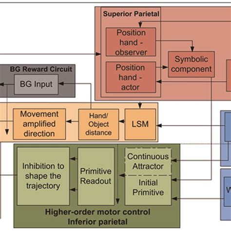 Layout Of The Proposed Computational Model Consisting Of Five Pathways