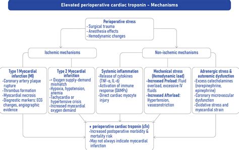 Understanding Cardiac Troponin Elevation After Noncardiac Surgery Nysora
