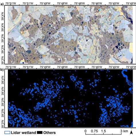 Wetland Inundation Labels Derived From The Lidar Intensity For Model Download Scientific
