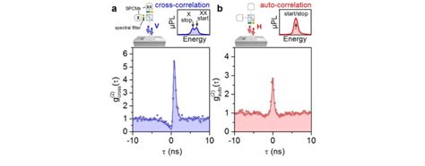 Polarization Resolved Photon Correlations Of Photon Pairs Emitted By