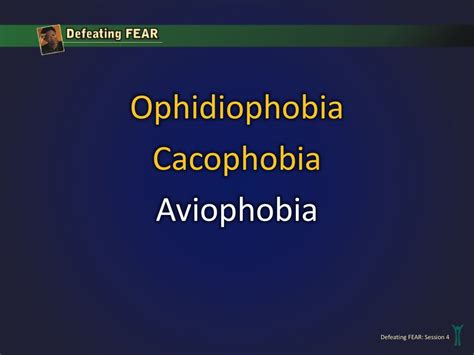 Become A Fan On Facebook Everybelieverawitness Ppt Download