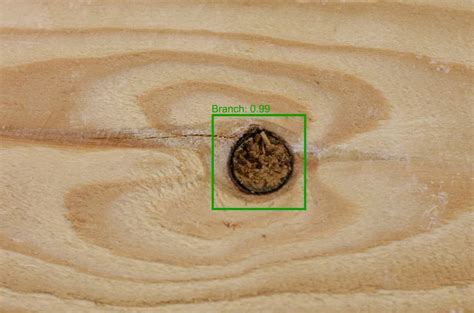 Detection And Classification Results On Wood Defect Datasets Test
