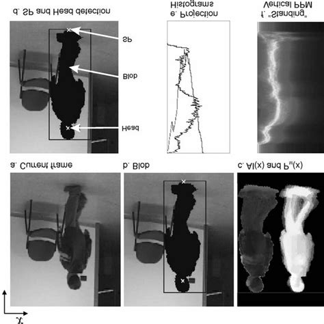 Posture Detection Phases Download Scientific Diagram