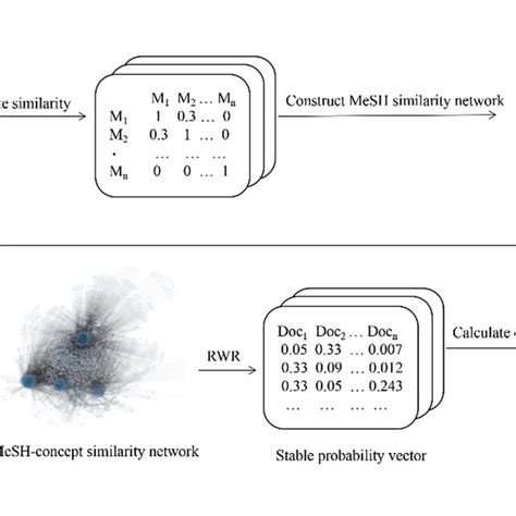 Flowchart Of Network Modelling Download Scientific Diagram