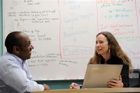 Bioinformatics Department Of Biological Sciences