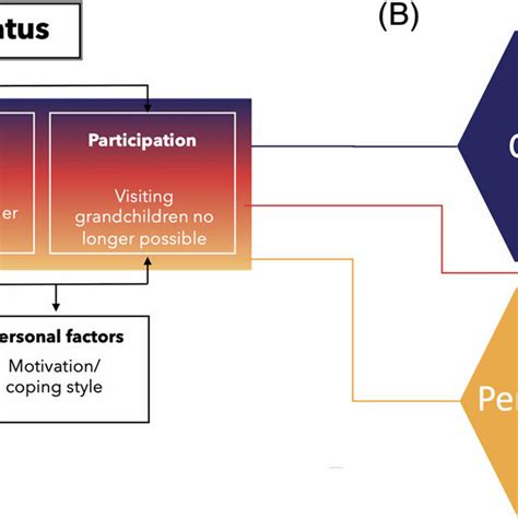 A The International Classification Of Function Disability And Health