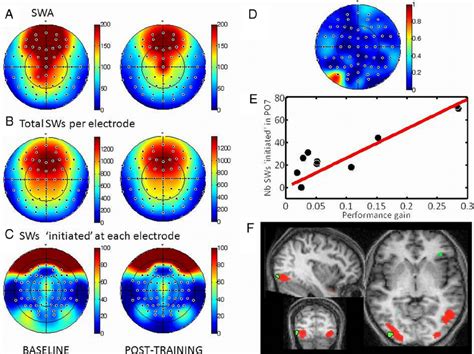 Eeg And Fmri Results A Scalp Distribution Of Swa During The First Download Scientific