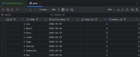 Spring Debugger Intellij Idea Documentation