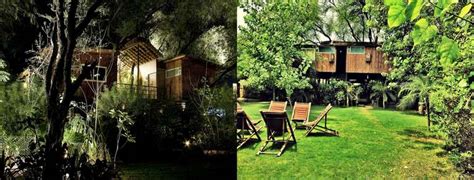 The Tree House Resort Jaipur