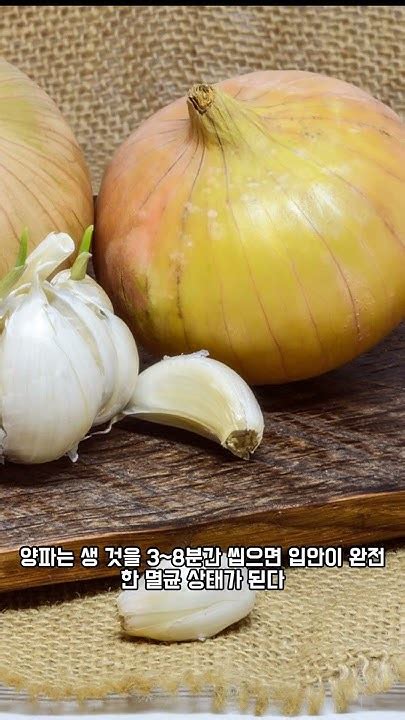 양파가 몸에 좋은 이유 세번째 Shorts 양파 Youtube