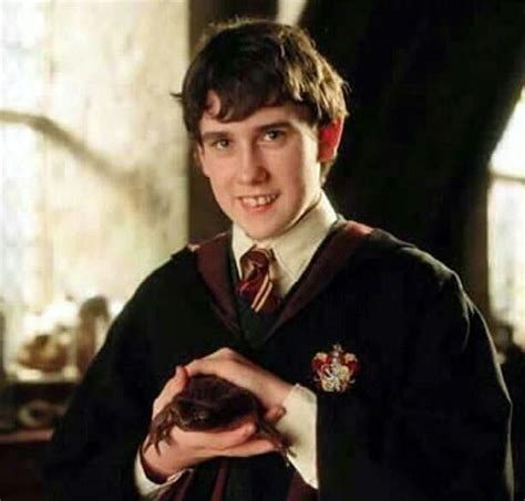 纳威演员 隆巴顿 扮演者 大山谷图库