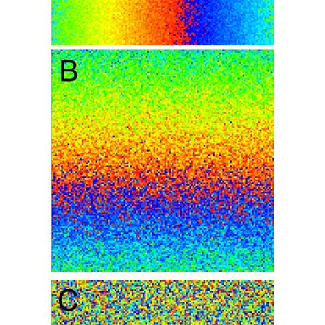 Model Columnar Architecture An Optimal Preferred Value For Each Of Download Scientific