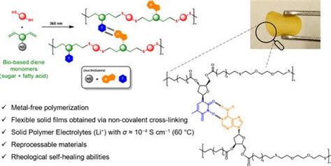 木糖和核苷基聚合物通过硫醇 烯聚合形成糖衍生固体聚合物电解质 Acs Applied Polymer Materials X Mol