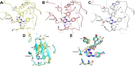Co Crystal Structure Of Hiv 1 Reverse Transcriptase Rt With A 2 Download Scientific Diagram
