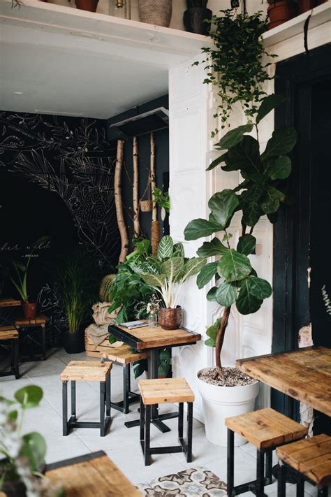 Coffee Shops With Plants At Erin Wesson Blog