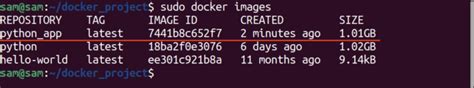 How To Install And Use Docker On Ubuntu Linux Genie