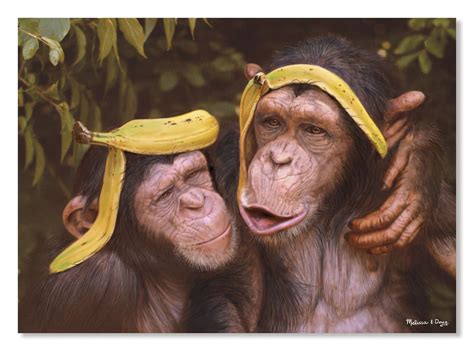 Pin On Chimps