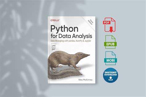 Python For Data Analysis Data Wrangling With Pandas Numpy And Jupyter 3rd Edition Etsy